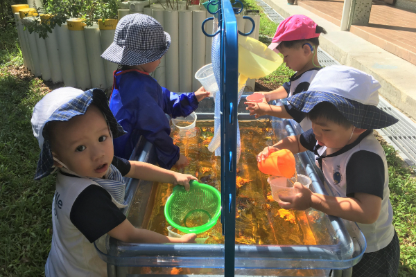 DeeDa: The Best Global Fundraising Platform | Trusted, Efficient, Secure